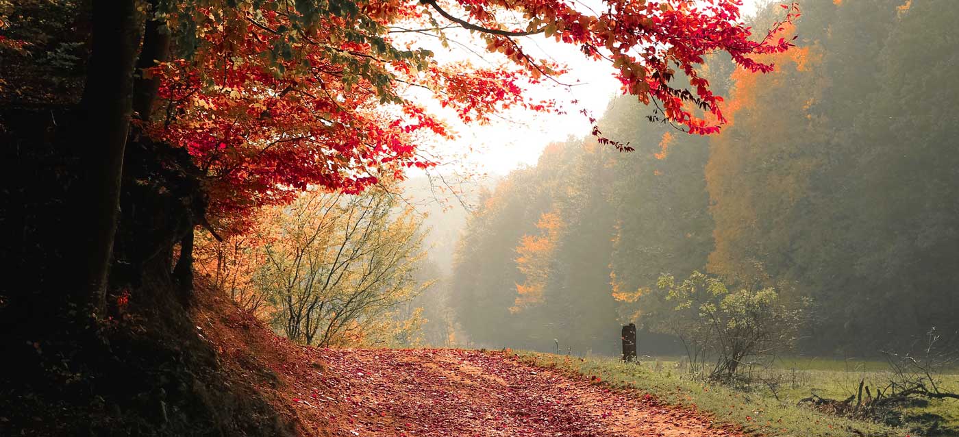 Top Five Things to Do This Fall in Ogunquit, Maine - Footbridge Beach Motel